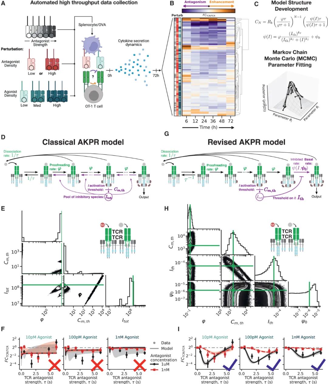 Cell：双剑合璧！新型TCR/CAR-T细胞疗法，精准打击肿瘤医药新闻-ByDrug-一站式医药资源共享中心-医药魔方