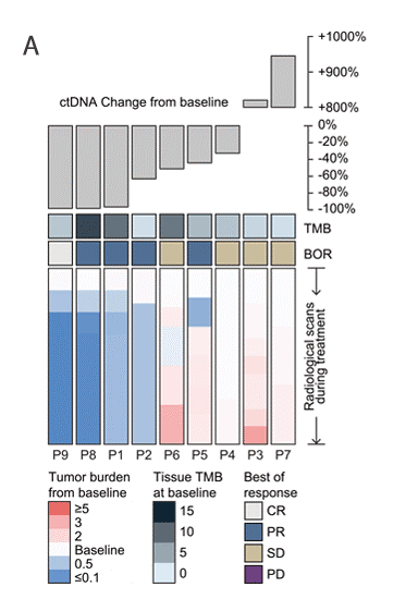 新桥医院肿瘤科研究团队利用个体化ctDNA测序动态追踪新生抗原，指导NSCLC患者PD-1/PD-L1治疗临床应用医药新闻-ByDrug-一站式医药资源共享中心-医药魔方