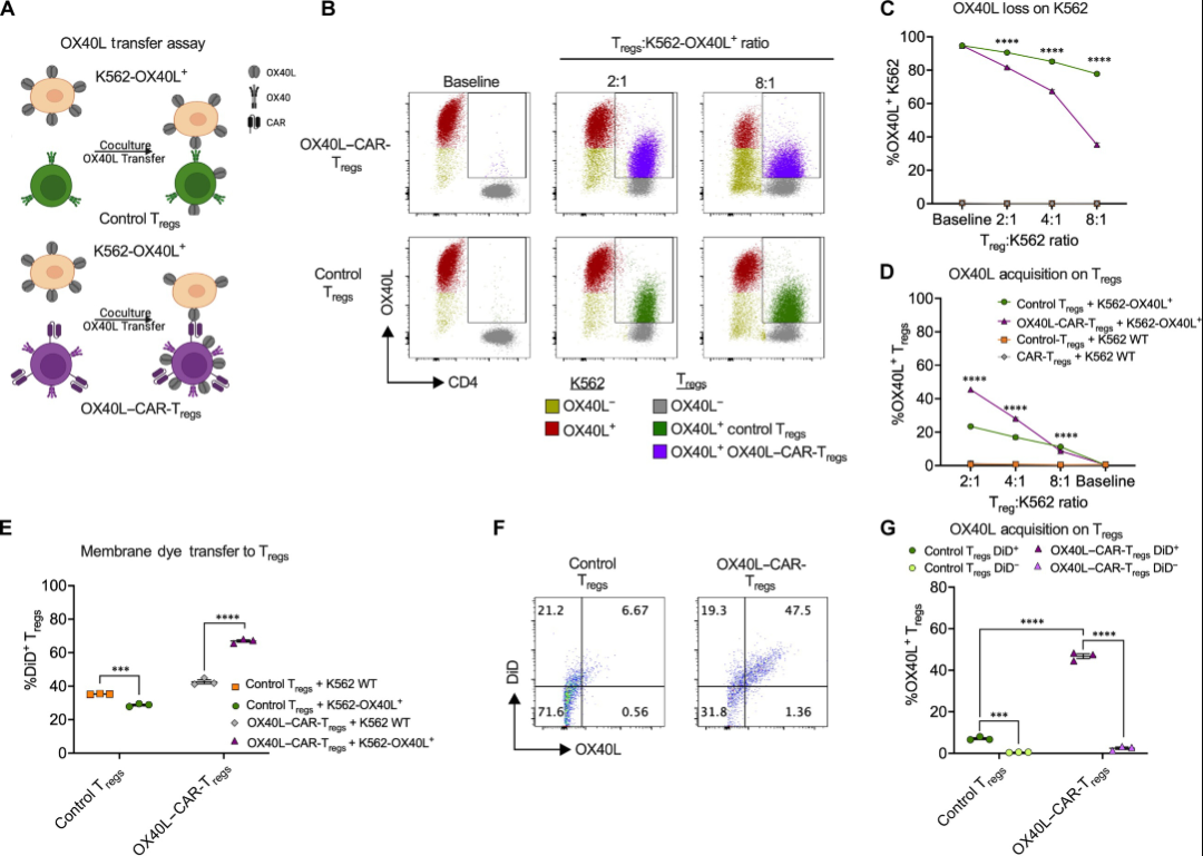Science子刊：另辟蹊径，CART细胞治疗移植物抗宿主病 (GVHD)医药新闻-ByDrug-一站式医药资源共享中心-医药魔方