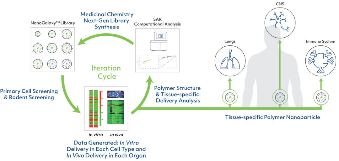 6.44亿美元！GenEdit与基因泰克合作开发自身免疫病核酸药物医药新闻-ByDrug-一站式医药资源共享中心-医药魔方