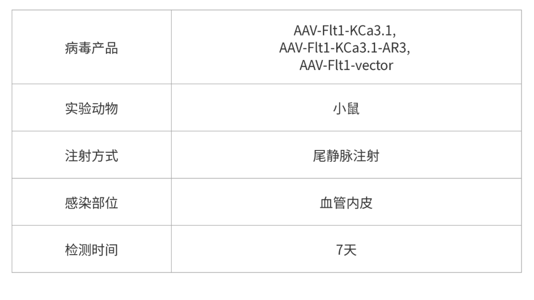 【on-target2.0】AAV感染心脏组织 | 血清型·启动子·注射用量 | 一篇就GO了！医药新闻-ByDrug-一站式医药资源共享中心-医药魔方