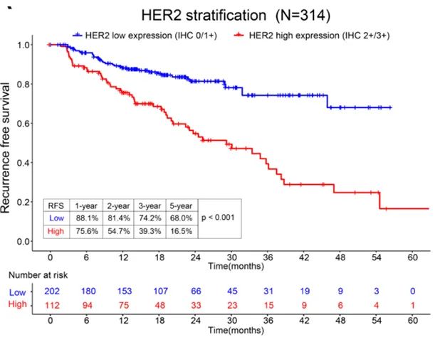 尧凯教授团队在国际上首次提出：HER2表达是中高危NMIBC患者BCG灌注失败的预测因子医药新闻-ByDrug-一站式医药资源共享中心-医药魔方