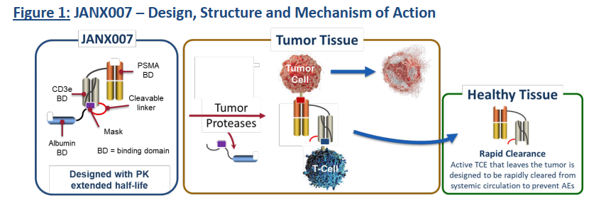 如何理解前药肿瘤特异性释放医药新闻-ByDrug-一站式医药资源共享中心-医药魔方