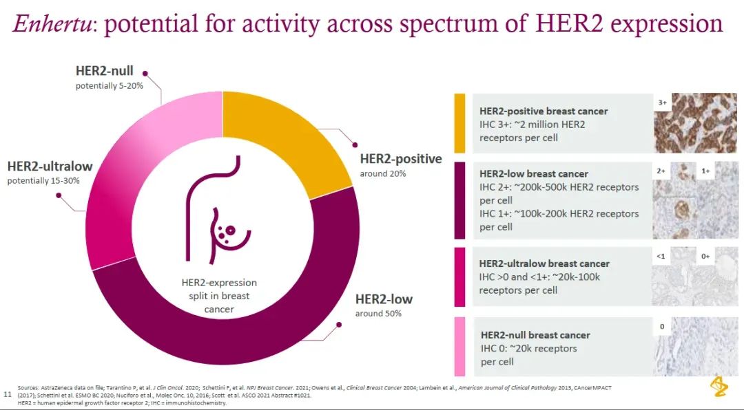 DS8201重大进展：有望实现成为新辅助治疗基药，早期乳腺癌III期研究成功医药新闻-ByDrug-一站式医药资源共享中心-医药魔方