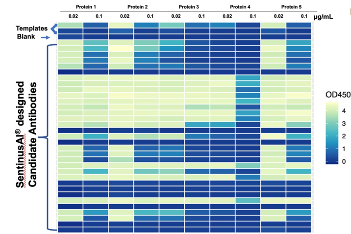SentinusAI®：圆壹智慧自主研发AI抗体从头设计与亲和力成熟服务平台医药新闻-ByDrug-一站式医药资源共享中心-医药魔方