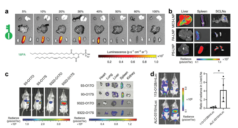 前沿进展：LNP的肝脏外器官靶向医药新闻-ByDrug-一站式医药资源共享中心-医药魔方