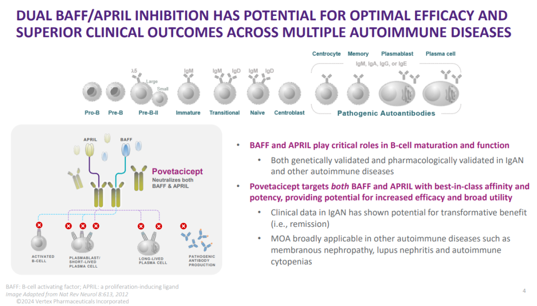 2024年8月 | 17款创新药进入III期，6款来自中国药企医药新闻-ByDrug-一站式医药资源共享中心-医药魔方
