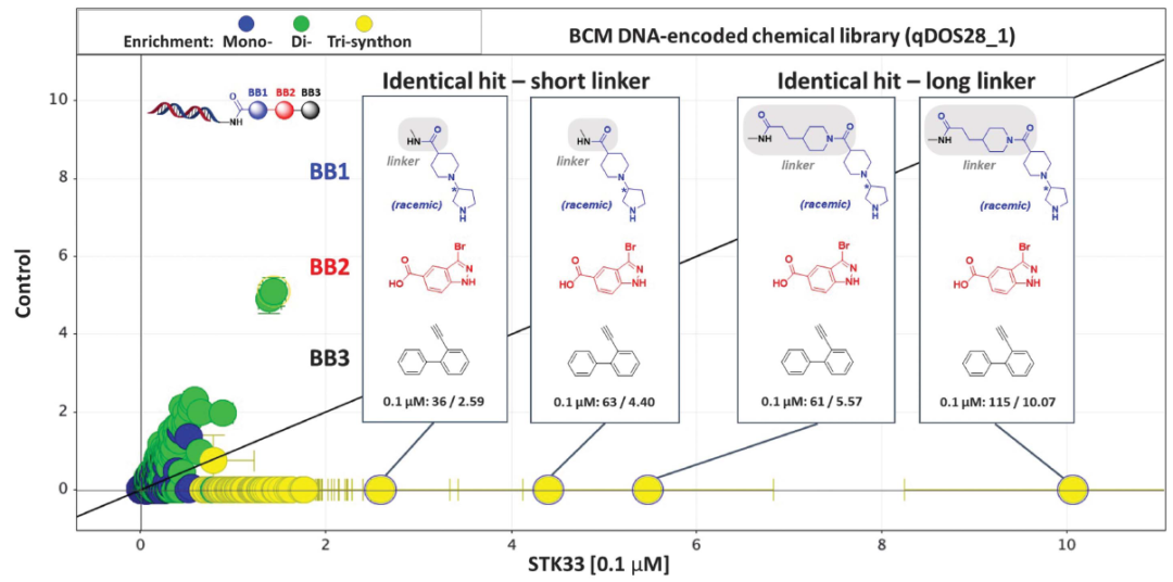 Science里程碑：男性避孕药，突破来了！靶向新靶点STK33，疗效可逆医药新闻-ByDrug-一站式医药资源共享中心-医药魔方