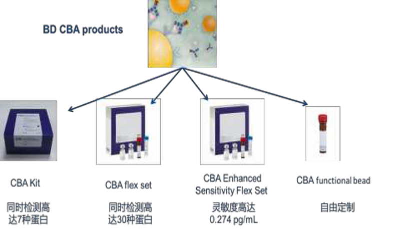 标准化流式整体解决方案在CAR-T细胞治疗中的应用医药新闻-ByDrug-一站式医药资源共享中心-医药魔方