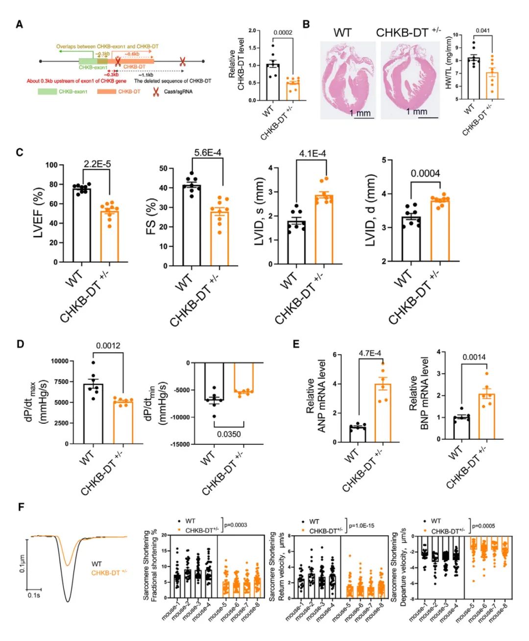 Circ Res（IF20+）丨LncRNA CHKB-DT下调通过ALDH2增强扩张型心肌病医药新闻-ByDrug-一站式医药资源共享中心-医药魔方