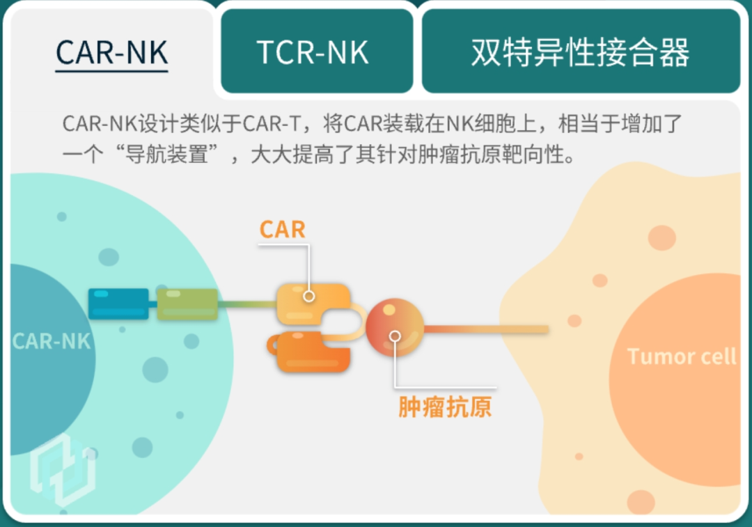 图解NK细胞疗法医药新闻-ByDrug-一站式医药资源共享中心-医药魔方