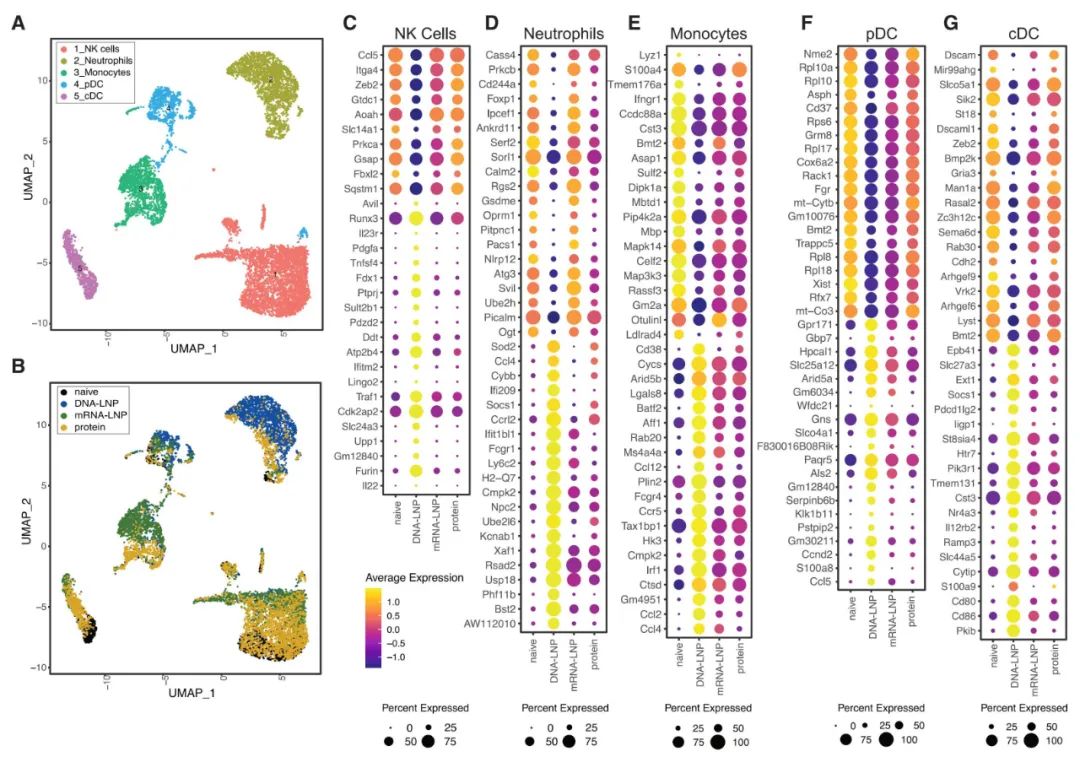 Cell Rep Med | DNA疫苗新突破！新型DNA-LNP递送技术实现长效免疫医药新闻-ByDrug-一站式医药资源共享中心-医药魔方