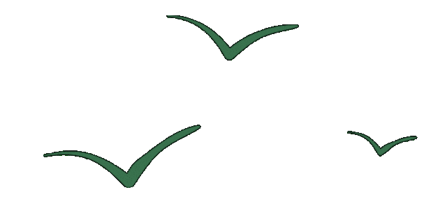 喜报！创新药“奥美克松钠注射液”注册申请成功受理医药新闻-ByDrug-一站式医药资源共享中心-医药魔方