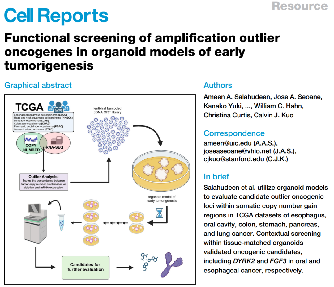 Horizon文献速递 | Cell Rep类器官基因过表达筛选如何助力复杂肿瘤机制研究医药新闻-ByDrug-一站式医药资源共享中心-医药魔方