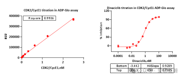 ICE靶标蛋白| CDK系列蛋白产品医药新闻-ByDrug-一站式医药资源共享中心-医药魔方