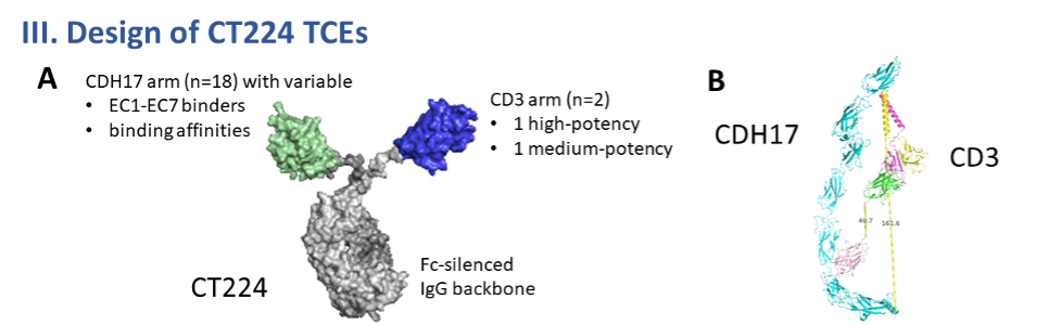 【AACR 2025】上细前沿突破四 | TCE核心平台：基于抗CD3与肿瘤特异性靶点的纳米抗体库为精准免疫治疗提供核心工具医药新闻-ByDrug-一站式医药资源共享中心-医药魔方