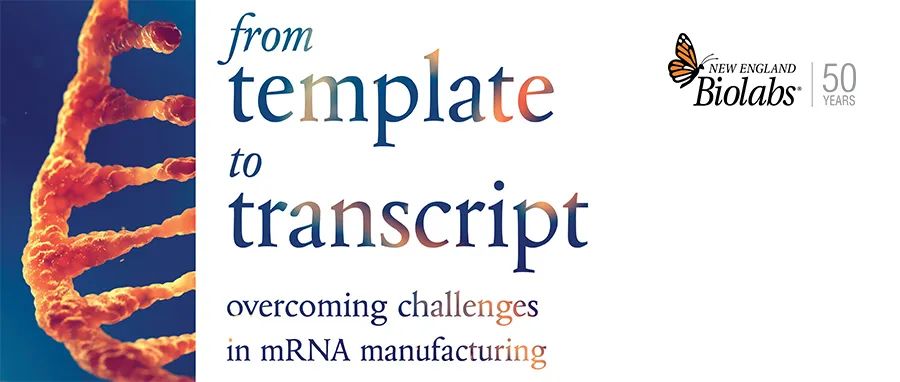 RNA 研究，诺贝尔生理学或医学奖的宠儿医药新闻-ByDrug-一站式医药资源共享中心-医药魔方