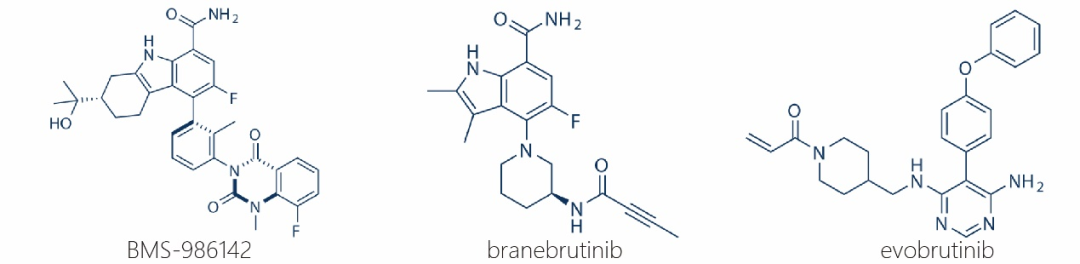 【速递】第3项自免！BTK抑制剂治疗ITP达3期终点医药新闻-ByDrug-一站式医药资源共享中心-医药魔方