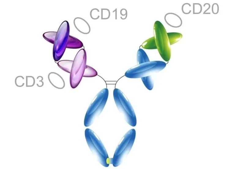 8.5亿美元！GSK收购恩沐生物三特异性抗体，又是成都药企！医药新闻-ByDrug-一站式医药资源共享中心-医药魔方