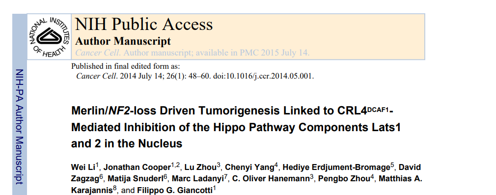 【科学报告】Merlin/NF2缺失驱动型肿瘤的形成与CRL4DCAF1介导的Hippo通路成分Lats1和Lats2的抑制有关医药新闻 ...