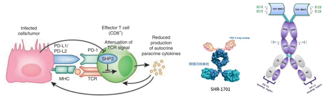 2023 ESMO ASIA口头｜SHR-1701治疗晚期NSCLC患者I期研究结果公布医药新闻-ByDrug-一站式医药资源共享中心-医药魔方
