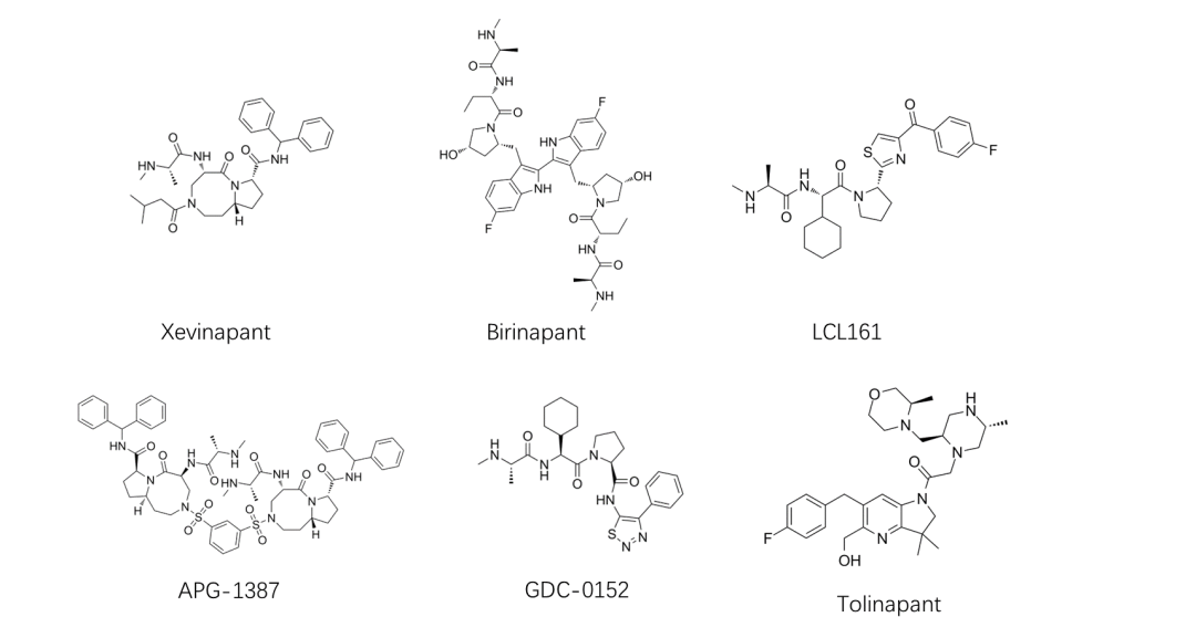 【速递】“FIC”IAP抑制剂失败，德国默克终止xevinapant III期临床医药新闻-ByDrug-一站式医药资源共享中心-医药魔方