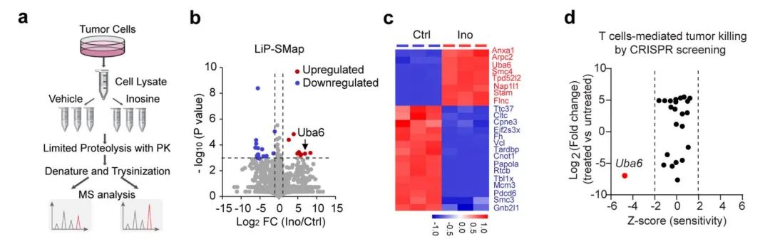 小分子—蛋白互作检测（Lip-MS），助力小分子靶标发现医药新闻-ByDrug-一站式医药资源共享中心-医药魔方