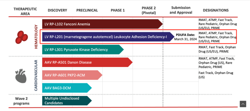 2024年，6款CGT疗法有望获 FDA 批准医药新闻-ByDrug-一站式医药资源共享中心-医药魔方