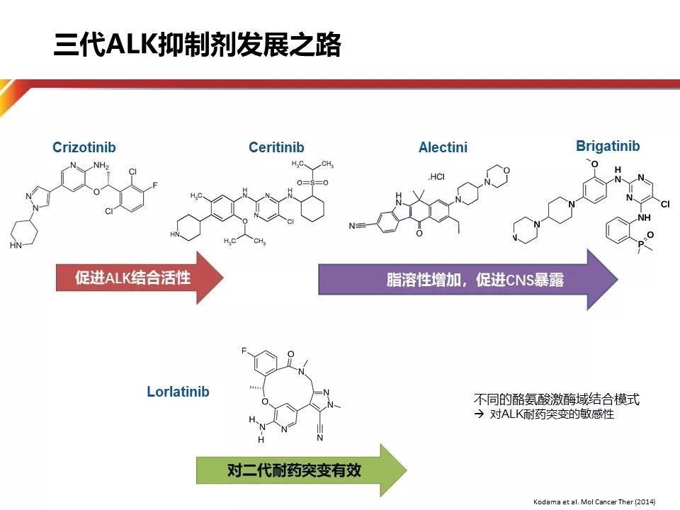 【2018 CSCO】Alectinib引领ALK阳性晚期NSCLC进入慢病管理新时代医药新闻-ByDrug-一站式医药资源共享中心-医药魔方