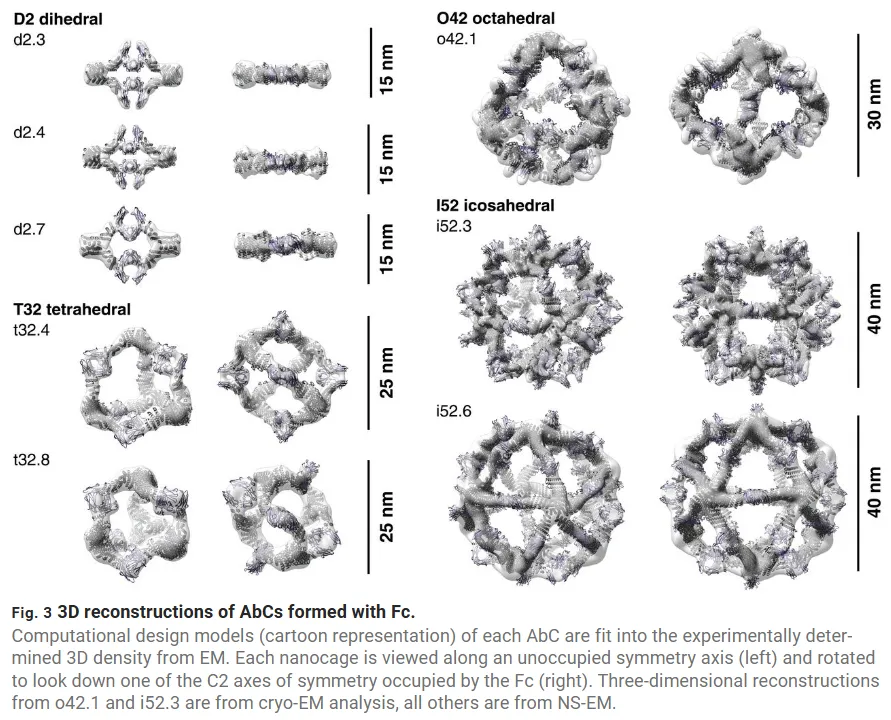 新锐！2000万美元种子轮融资，David Baker新公司开发AbC药物医药新闻-ByDrug-一站式医药资源共享中心-医药魔方
