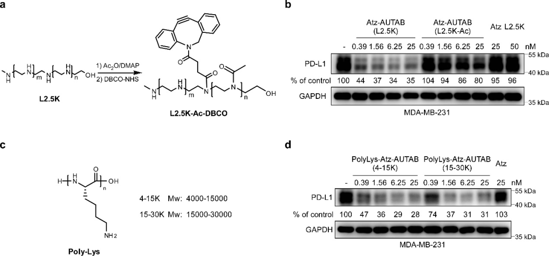 Nature Chemical Biology | 自噬驱动的细胞膜蛋白靶向降解技术医药新闻-ByDrug-一站式医药资源共享中心-医药魔方