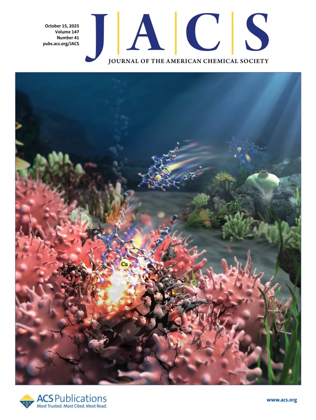 JACS封面 | 上海药物所合作揭示海洋天然产物CHC抗结直肠癌的铜死亡机制医药新闻-ByDrug-一站式医药资源共享中心-医药魔方