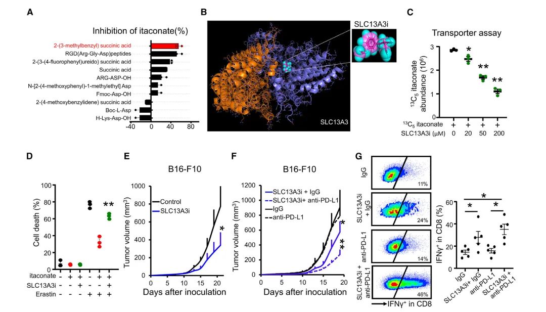 Cancer Cell | 密歇根大学邹伟平团队发现SLC13A3赋予肿瘤细胞铁死亡抗性并削弱肿瘤免疫治疗疗效医药新闻-ByDrug-一站式 ...