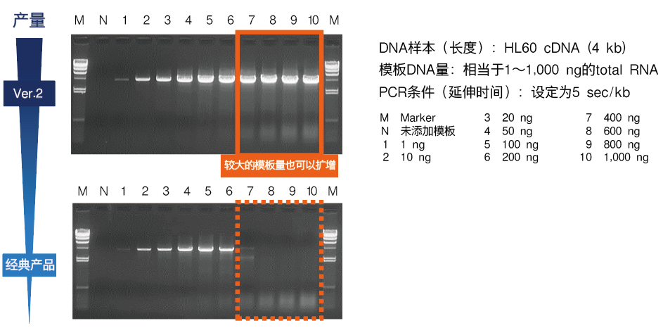 Takara PrimeSTAR系列保真性最高、反应速度最快的高保真酶医药新闻-ByDrug-一站式医药资源共享中心-医药魔方