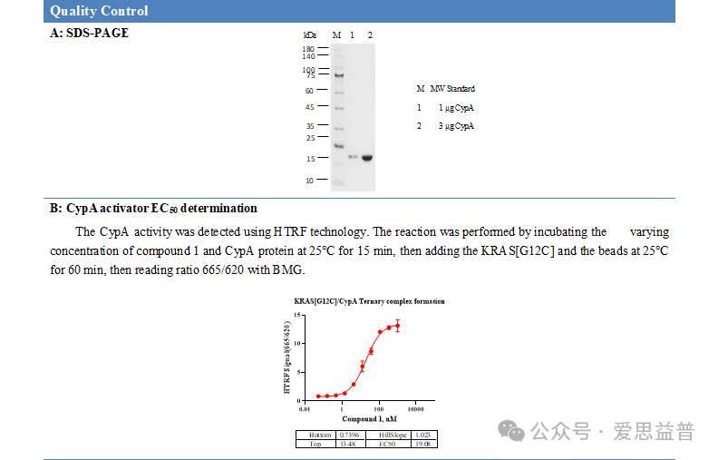 RAS(ON)多选择性抑制剂RMC-6236 胰腺癌I期结果积极医药新闻-ByDrug-一站式医药资源共享中心-医药魔方