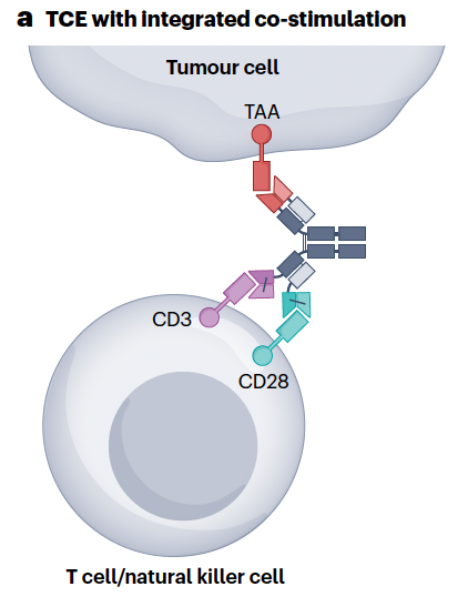 一文读懂双特异性抗体的9大作用机制医药新闻-ByDrug-一站式医药资源共享中心-医药魔方