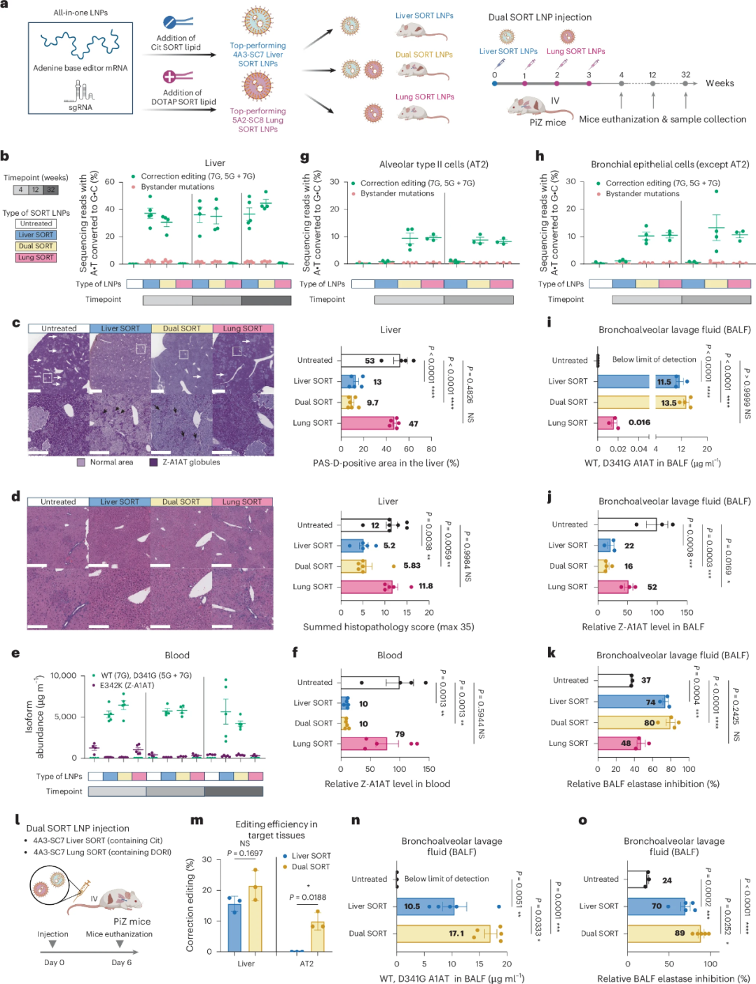 Nature子刊：双靶向SORT LNP技术，攻克多器官递送难题医药新闻-ByDrug-一站式医药资源共享中心-医药魔方