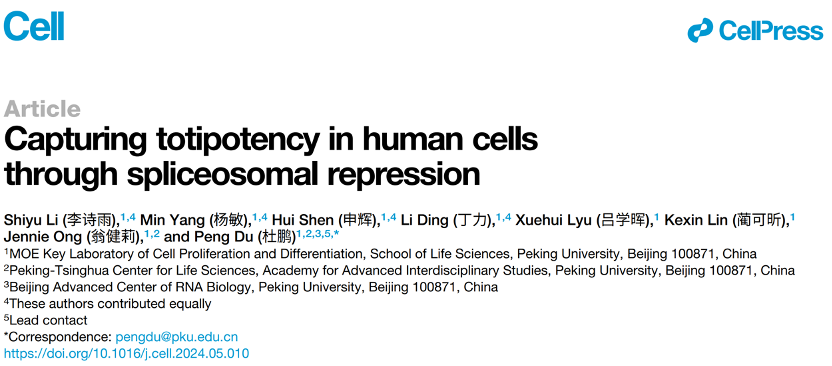Cell | 杜鹏课题组通过“剪接抑制”获得两种新型人全能性干细胞医药新闻-ByDrug-一站式医药资源共享中心-医药魔方