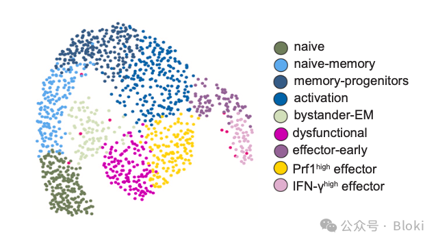 把DC细胞和T细胞拉到一起的双特异性抗体医药新闻-ByDrug-一站式医药资源共享中心-医药魔方