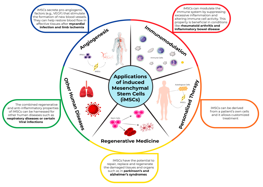 iMSC——细胞治疗领域的下一个关键突破口医药新闻-ByDrug-一站式医药资源共享中心-医药魔方