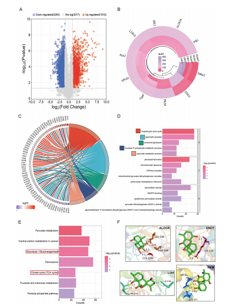 化学蛋白质组学技术（ABPP）在肺癌研究中的应用医药新闻-ByDrug-一站式医药资源共享中心-医药魔方
