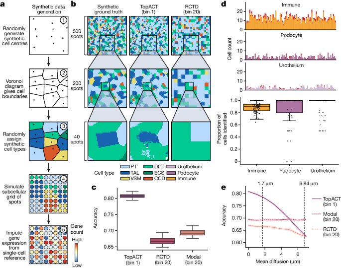 Stereo-seq Nature新作~多尺度拓扑学在亚细胞空间转录组学中用于细胞分类医药新闻-ByDrug-一站式医药资源共享中心-医药魔方
