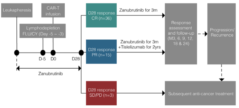 CAR-T细胞治疗LBCL增效策略之联合BTKi±PD-1i的探索医药新闻-ByDrug-一站式医药资源共享中心-医药魔方