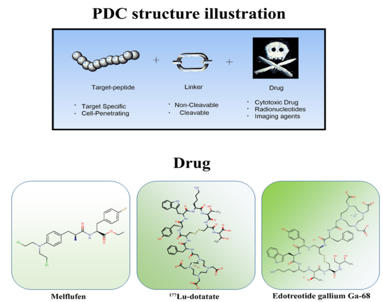 星联肽生物注射用SC-102（PDC）获批临床，用于这类癌症医药新闻-ByDrug-一站式医药资源共享中心-医药魔方