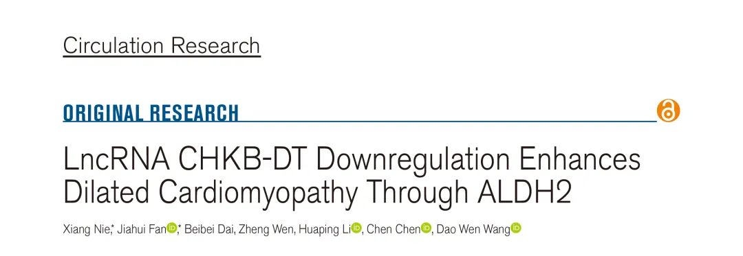 Circ Res（IF20+）丨LncRNA CHKB-DT下调通过ALDH2增强扩张型心肌病医药新闻-ByDrug-一站式医药资源共享中心-医药魔方