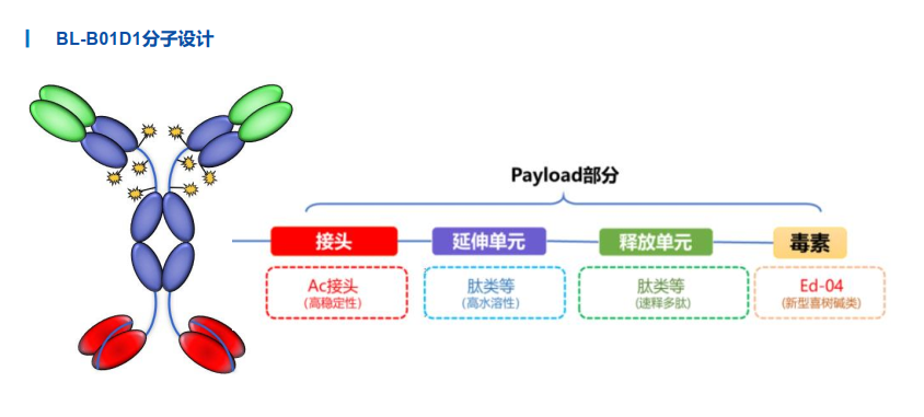 84亿美元，BMS引进百利EGFR/HER3双抗ADC！及双抗ADC要解决怎样的问题？医药新闻-ByDrug-一站式医药资源共享中心-医药魔方