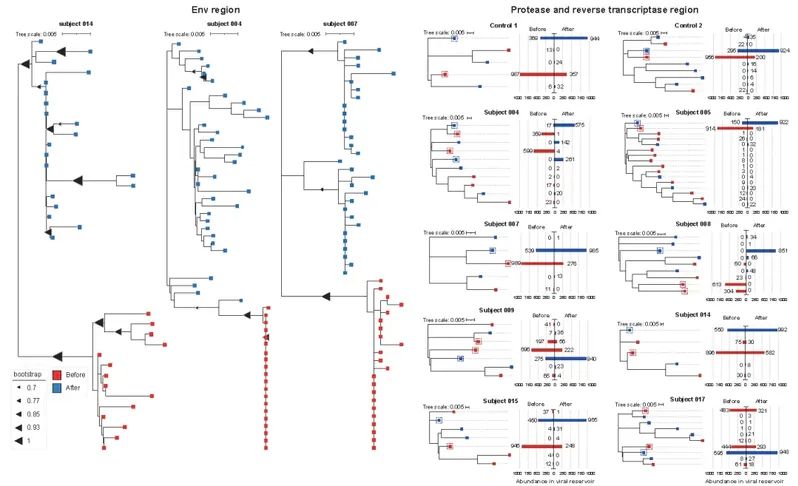 上海市重大传染病和生物安全研究院/复旦大学徐建青等团队合作开发治疗HIV-1感染的新策略医药新闻-ByDrug-一站式医药资源共享中心-医药魔方