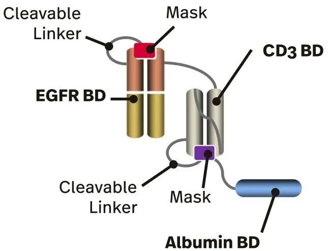 股价暴涨229%、募资1.75亿美元！Janux公布两款双抗积极临床数据医药新闻-ByDrug-一站式医药资源共享中心-医药魔方