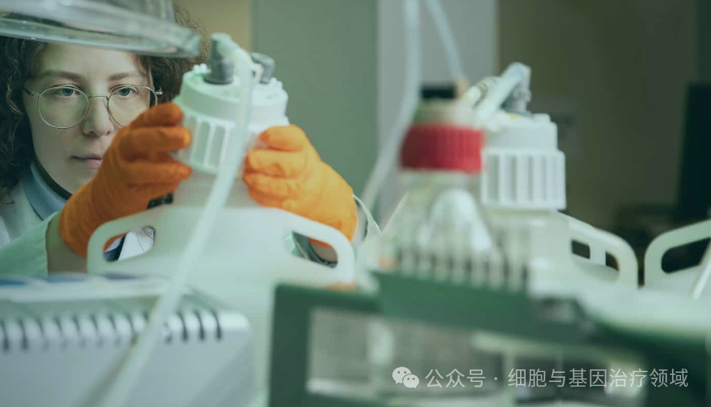 7天完成自体CAR-T细胞制造和回输，超高缓解率创新疗法最新研究结果公布医药新闻-ByDrug-一站式医药资源共享中心-医药魔方