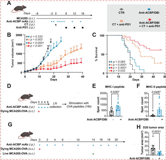 ACBP/DBI：癌症诊断的“新宠”，免疫逃逸的“破局者”医药新闻-ByDrug-一站式医药资源共享中心-医药魔方